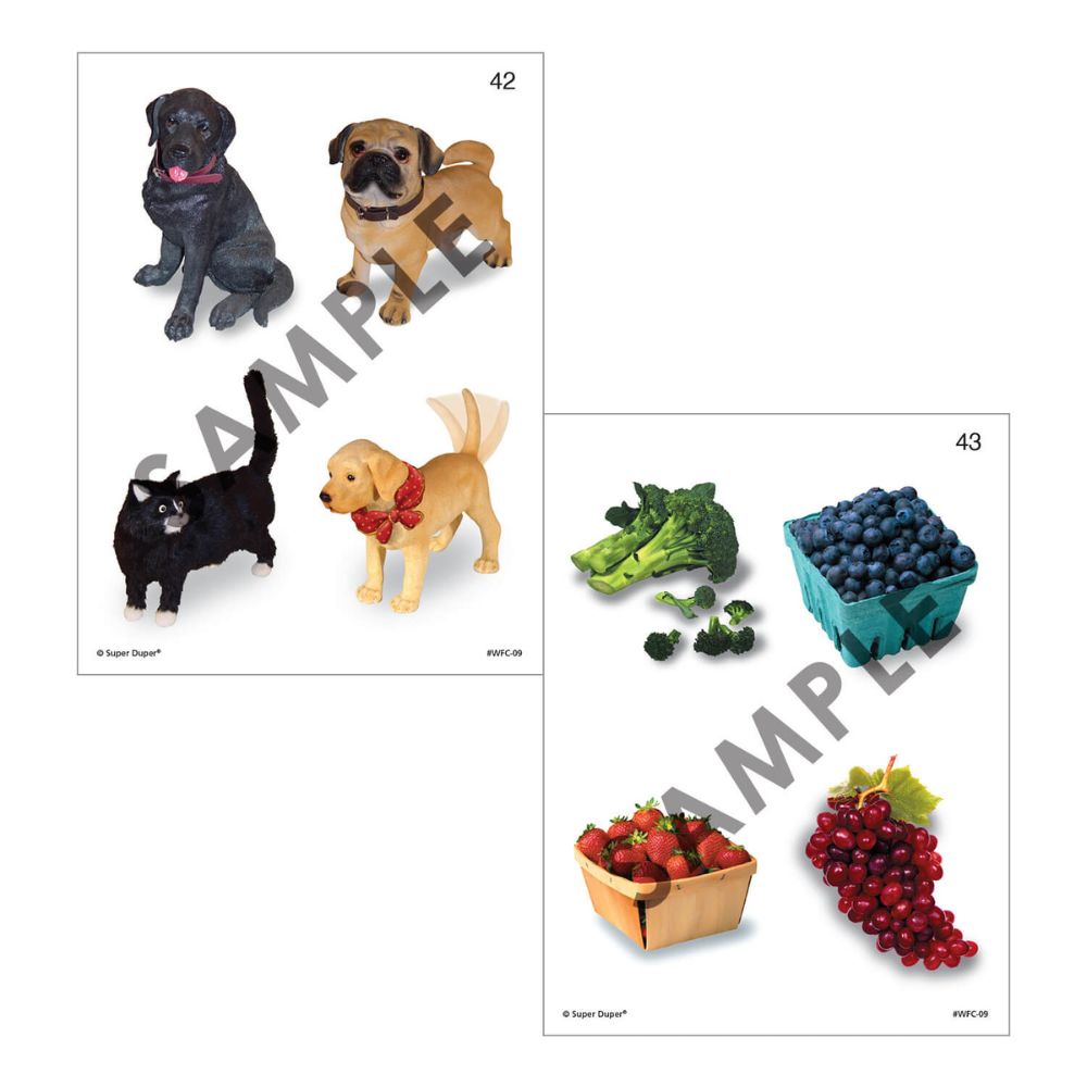 ¿Cuál no pertenece? - Fotos - logopedicum